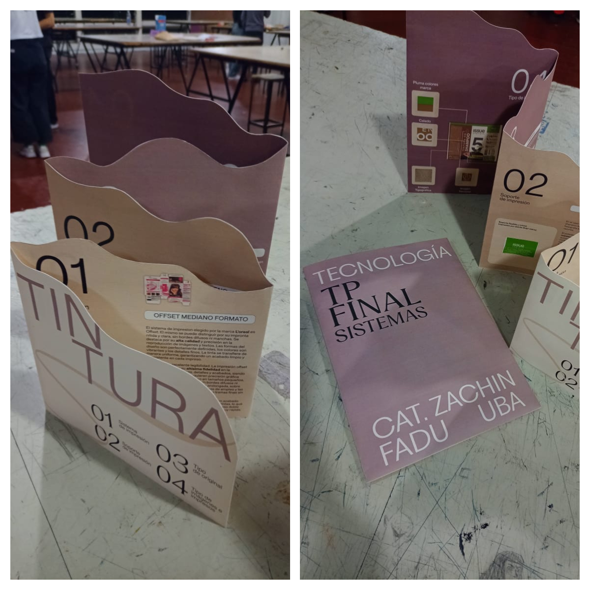 Cuatrimestrales – EXPOFADU